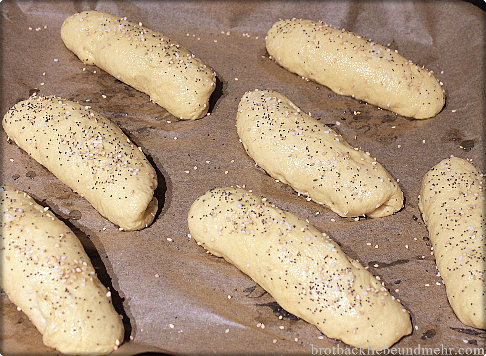 Butter-Laugenstangen mit Lievito Madre - Brotbackliebe ... und mehr