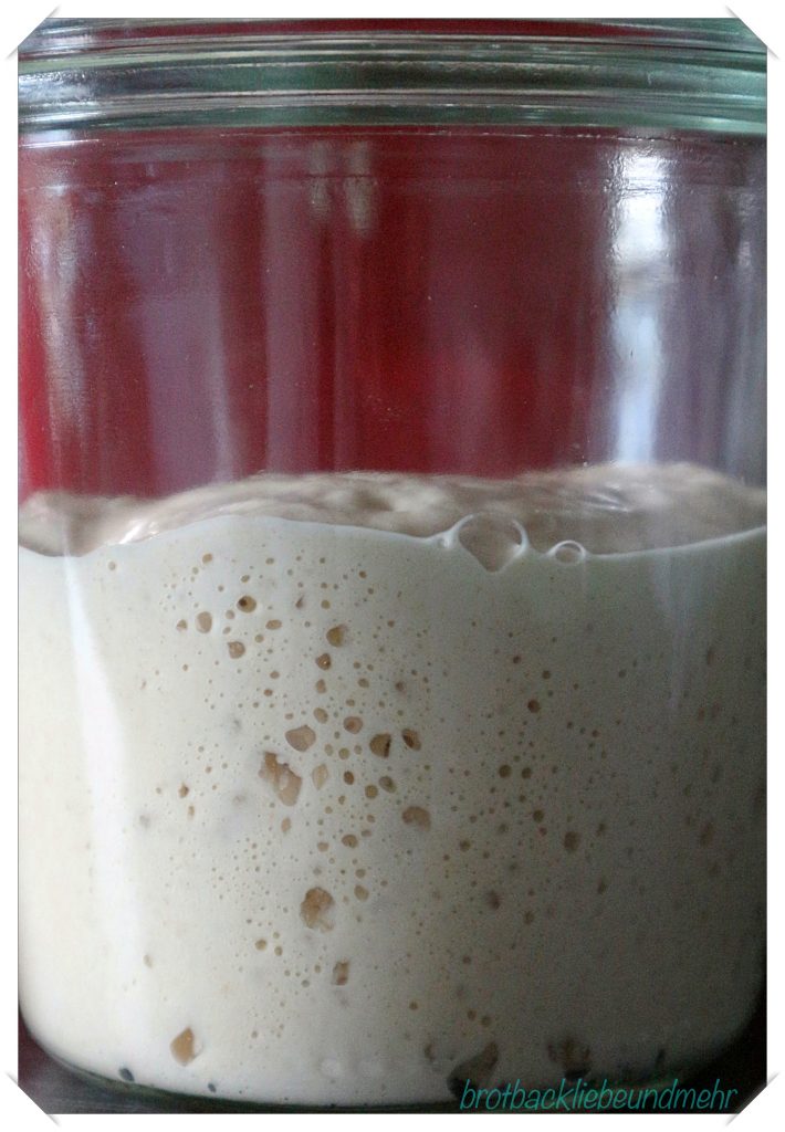 Alles über Sauerteig - Herstellung, Pflege, Tipps - Brotbackliebe ...